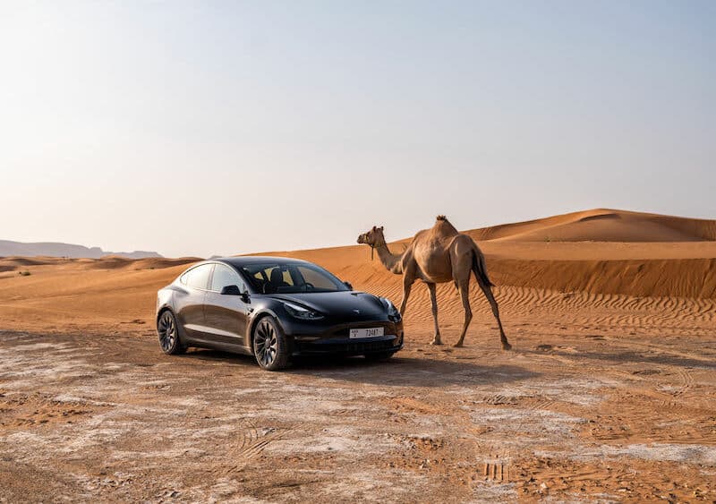 Ventes en chute : la Tesla Model 3 en pleine traversée du désert